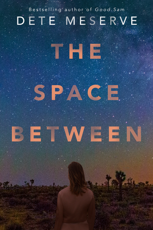 Book review: The Space Between by Dete Meserve – Too much time, and too ...